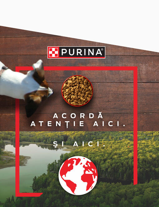 Branduri de hrana caini si hrana pisici | Purina